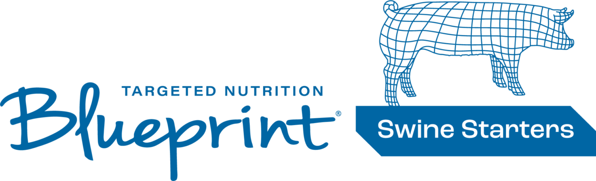 Blueprint® Swine Starters | Masterfeeds