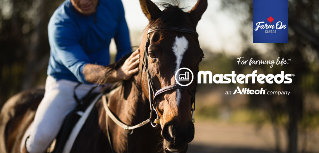| Masterfeeds