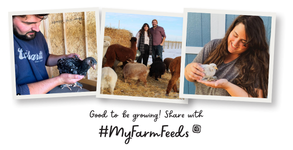 Farm Choice Feeds | Masterfeeds