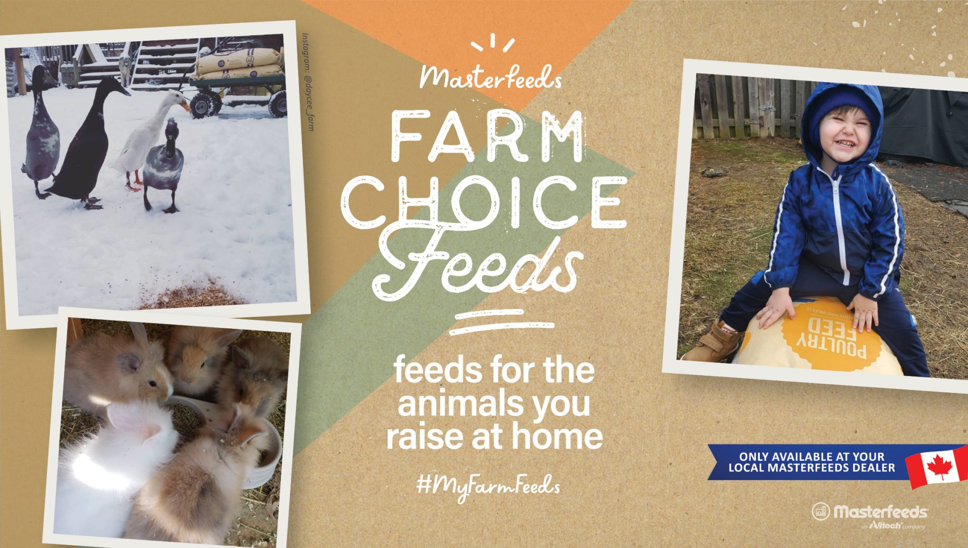 Farm Choice Feeds | Masterfeeds Farm Choice Feeds | Masterfeeds